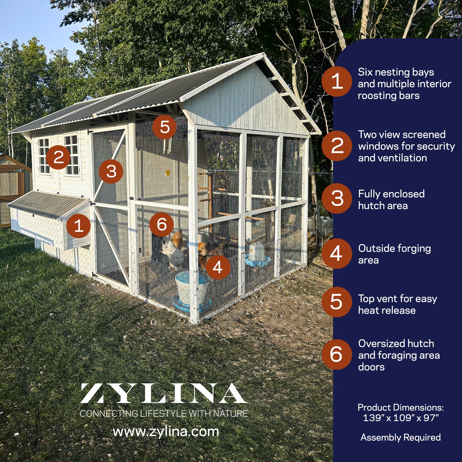 Modern Chicken Coops for Sale | Zylina
