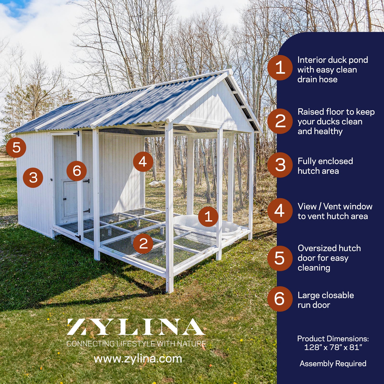 Modern Duck Barn (DDP-1559LPVC) – Zylina