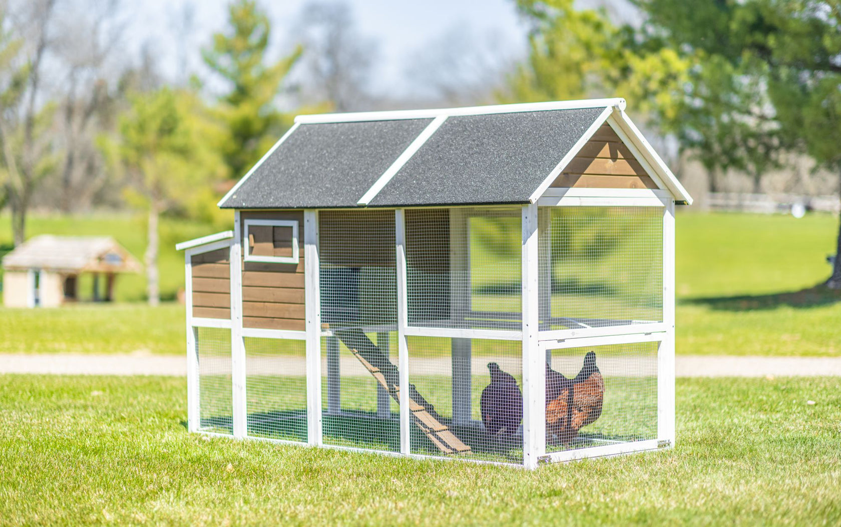Superior Chicken Coop | Ultimate Comfort & Egg Production | Zylina