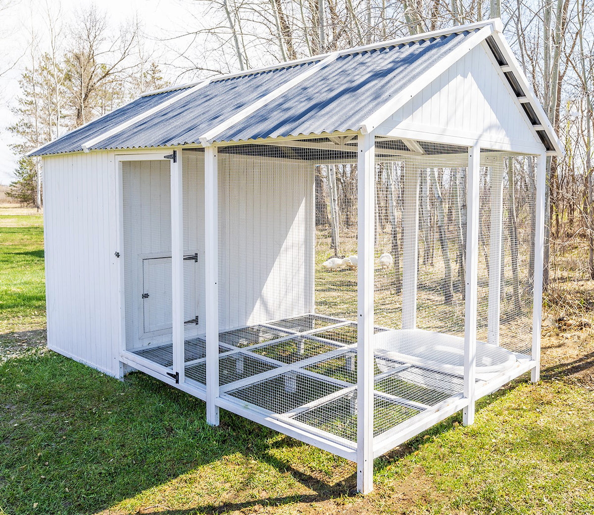 Modern Duck Barn (DDP-1559LPVC) – Zylina