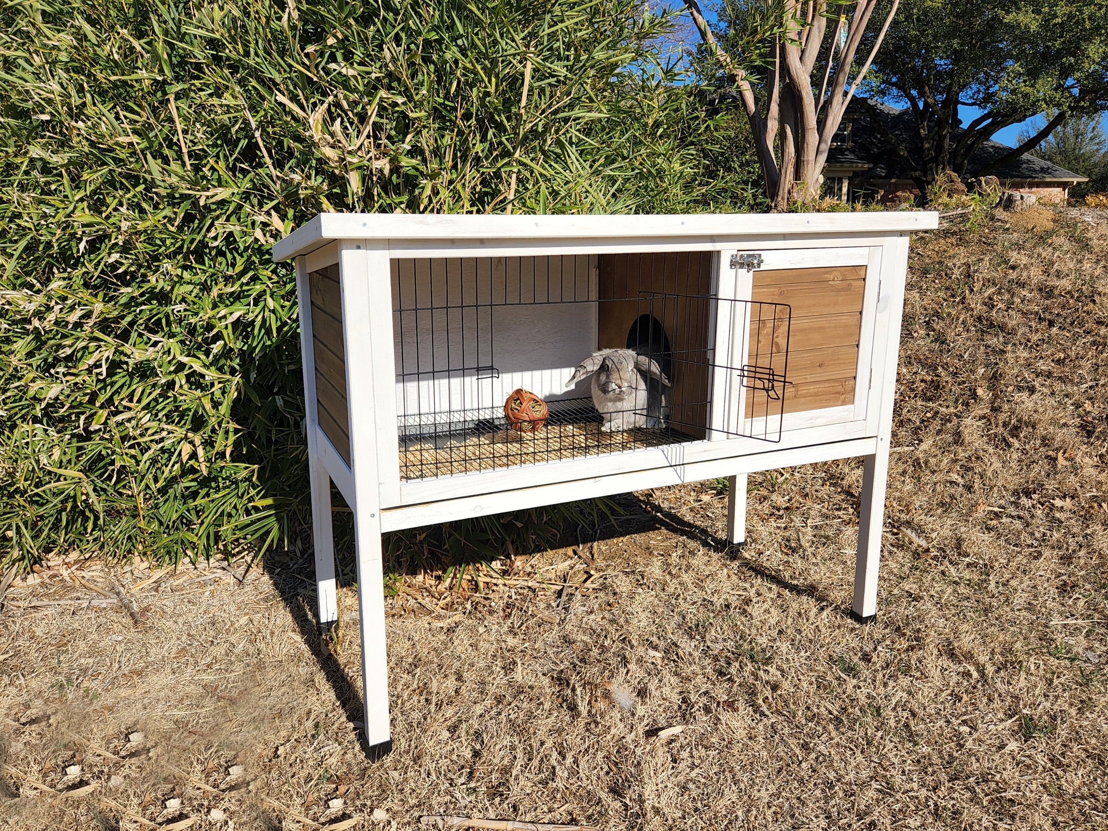 Zylina - Connecting Lifestyle with Nature