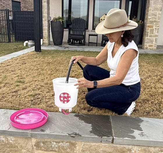 Chicken Waterer 1.5 Gallons - Fuchsia (Z-WFS) – Zylina