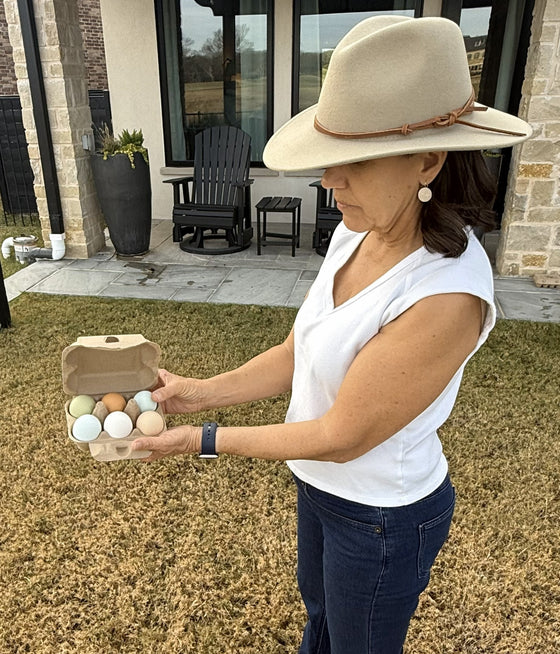 Zylina Egg Carton (6 Eggs) – 25 Pack (Z-Eggs6-25)