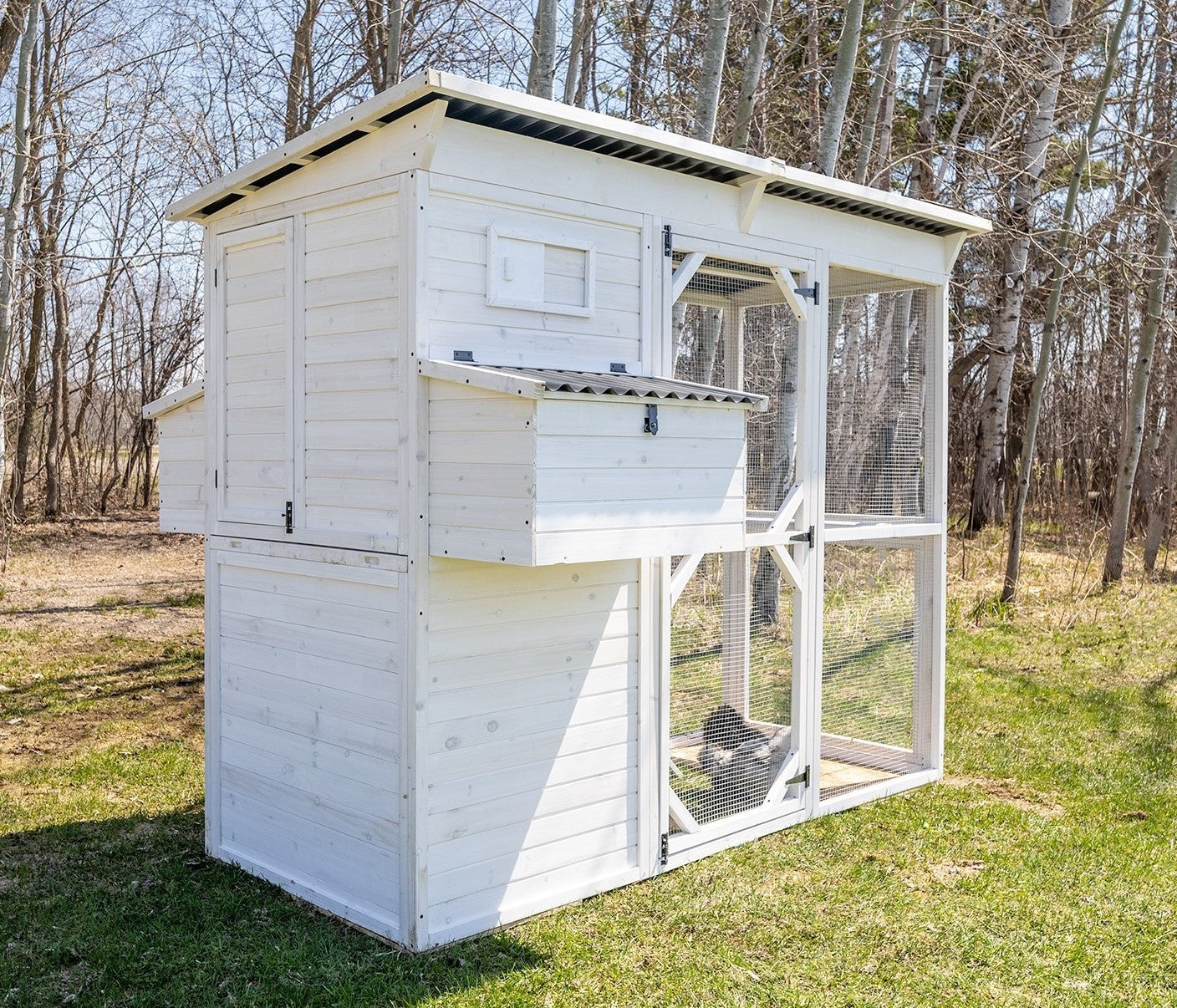 Modern Walk-In Hen House (DDP-1925) – Zylina
